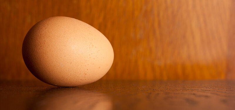 Eggshell Skull Rule: Pre-Existing Condition Claims Guide
